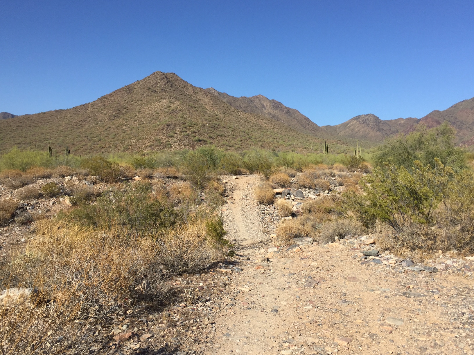 Easy Hiking and Biking in Scottsdale - Traveling with Sweeney