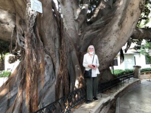 Valencia, A Mediterranean Delight - Traveling with Sweeney